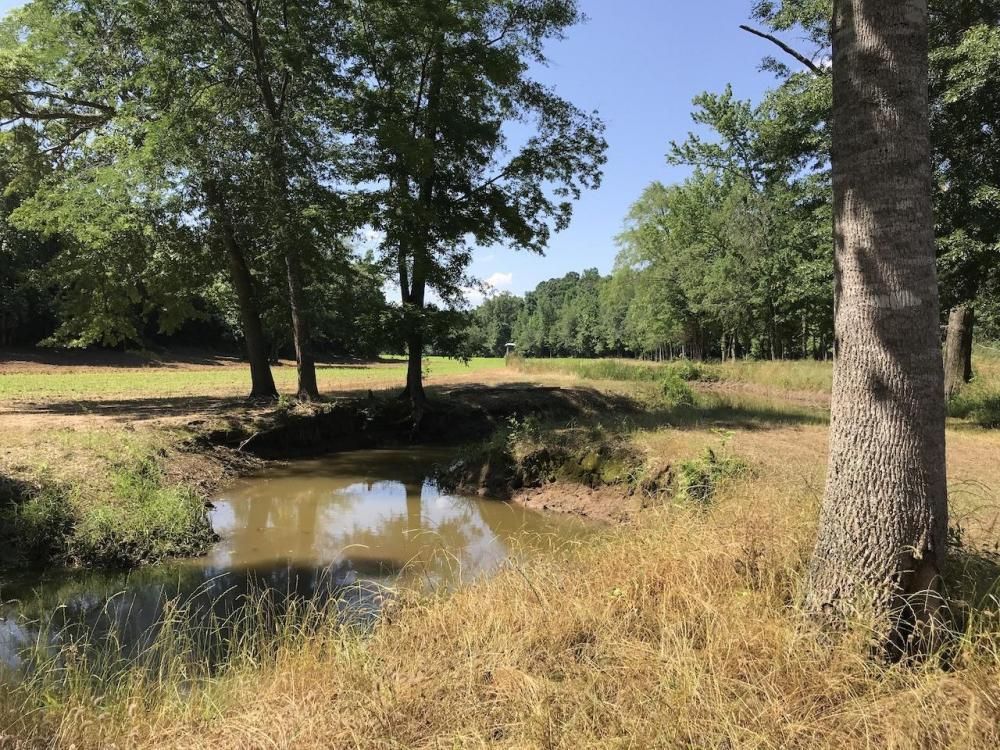 De Kalb, Kemper County, MS Recreational Property, Timberland Property ...
