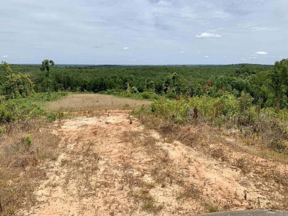 0 New Hope Camp Rd, Toomsuba, MS 39335 | LandWatch