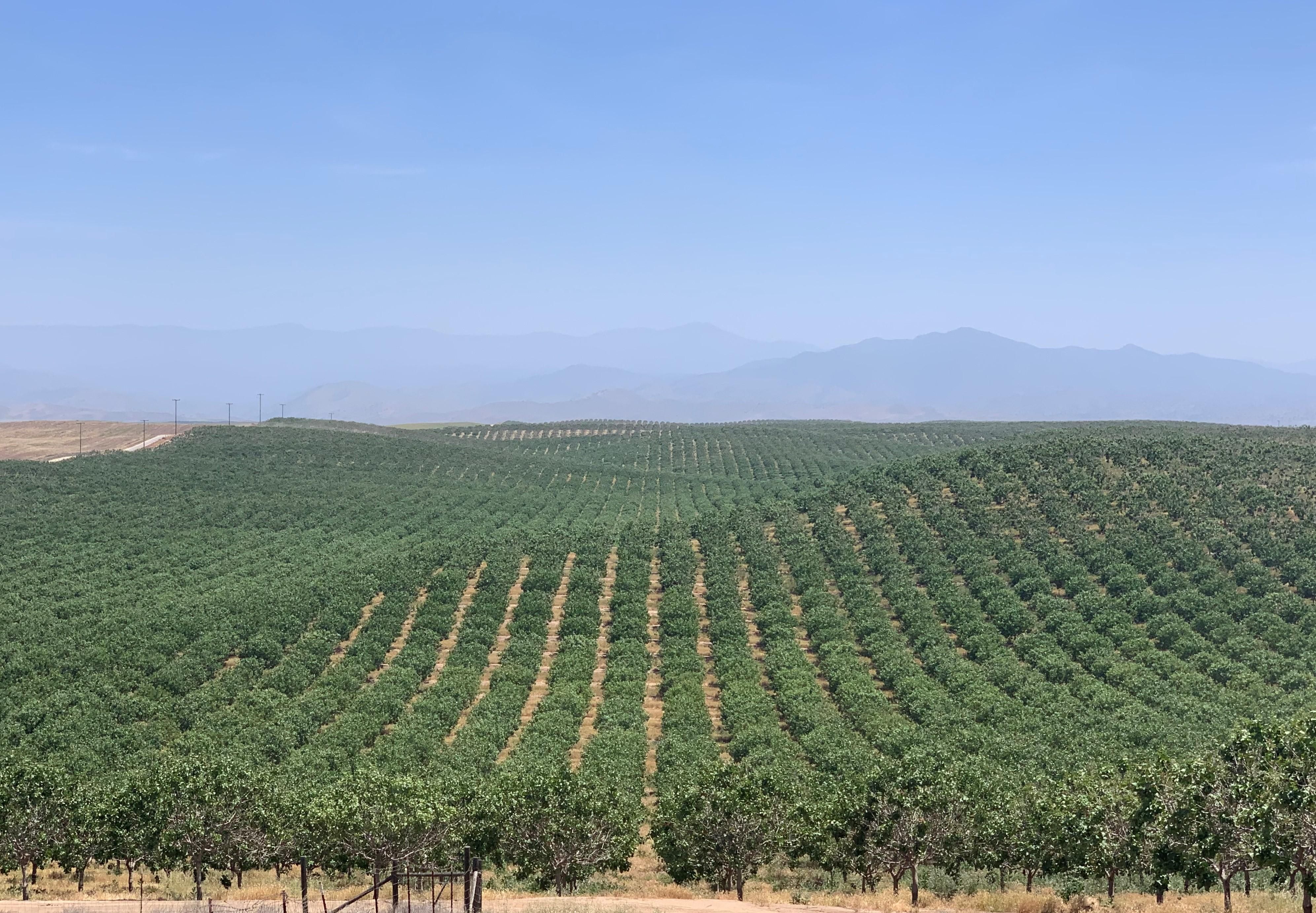 1,420.92 acres in Richgrove, CA, 93218 | LandWatch