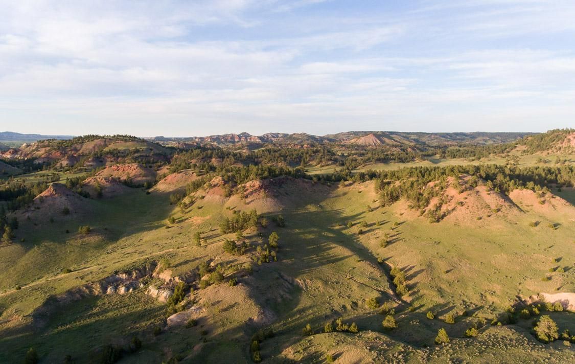 State Highway 59, Broadus, MT 59317 | LandWatch