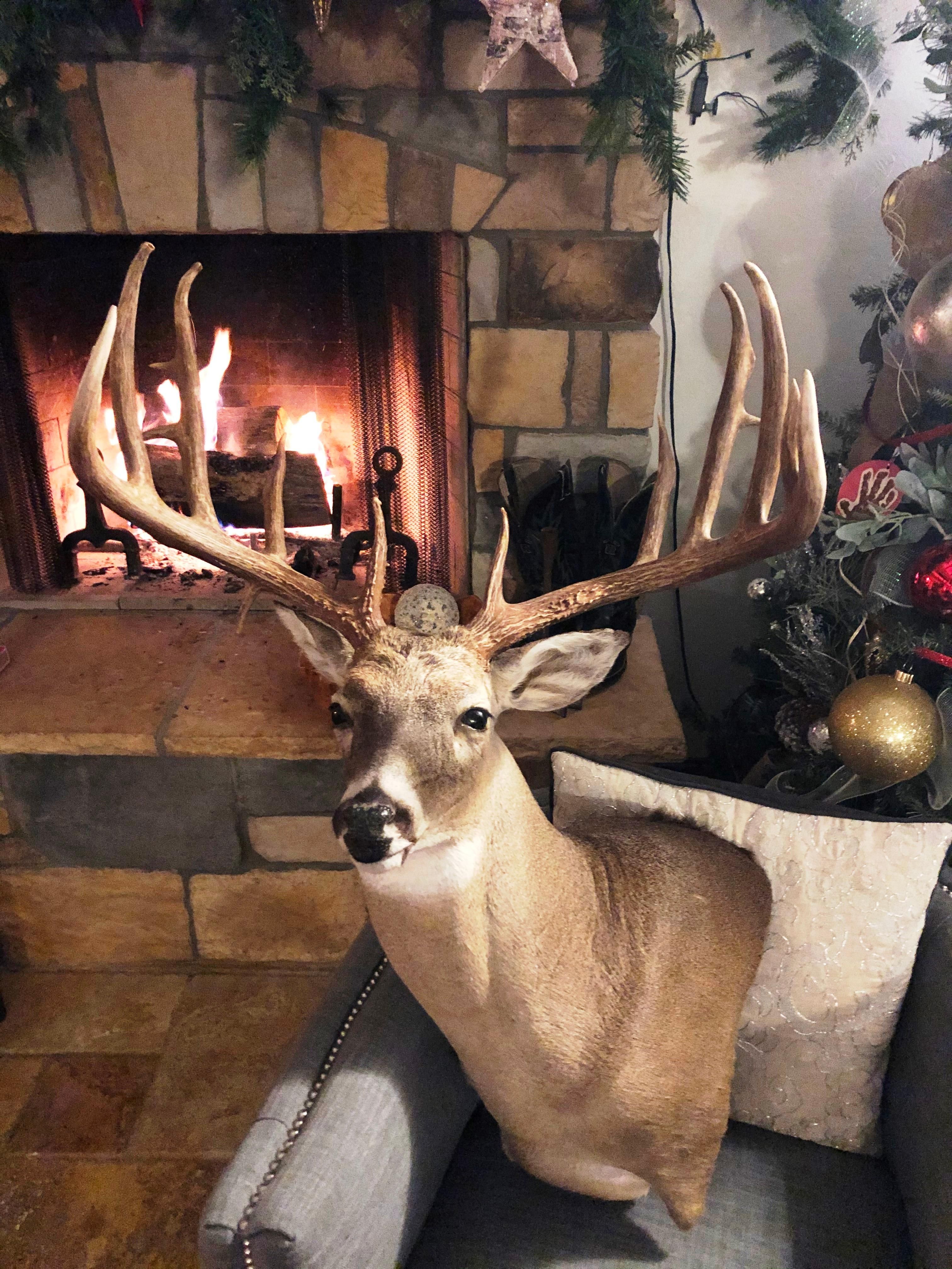 1,140 acres in Checotah, OK, 74426 | MLS: Rafter R Ranch- Onapa | LandWatch