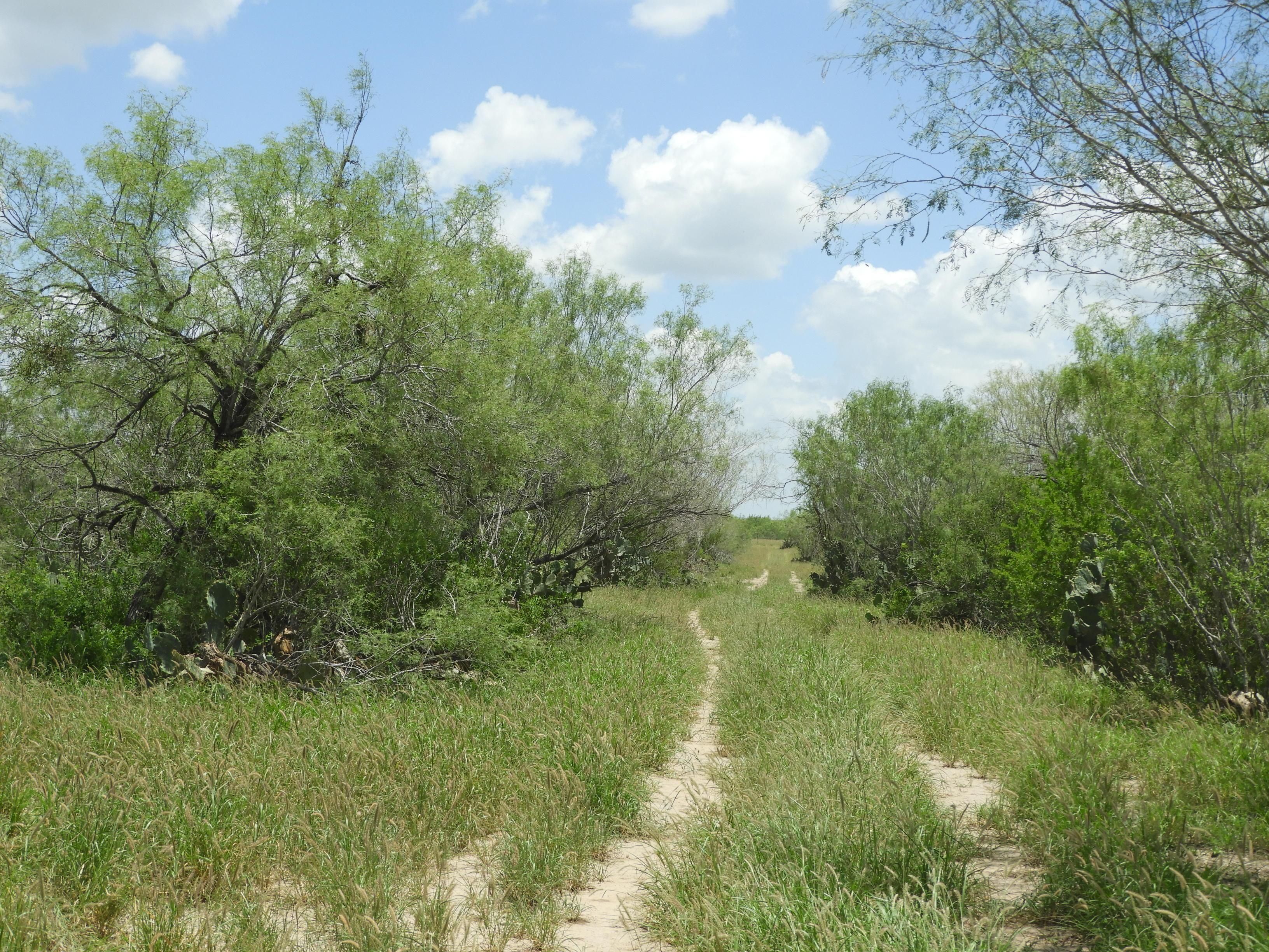 67 acres in El Sauz, TX, 78582 | LandWatch