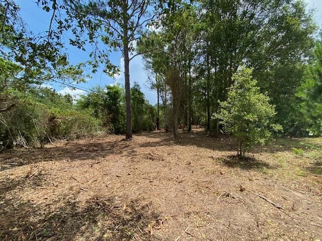Semmes, Mobile County, AL Recreational Property, Undeveloped Land ...