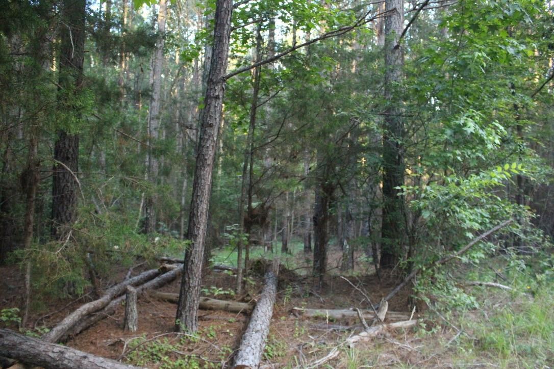 Harmony Road, Plum Branch, SC 29845 | LandWatch