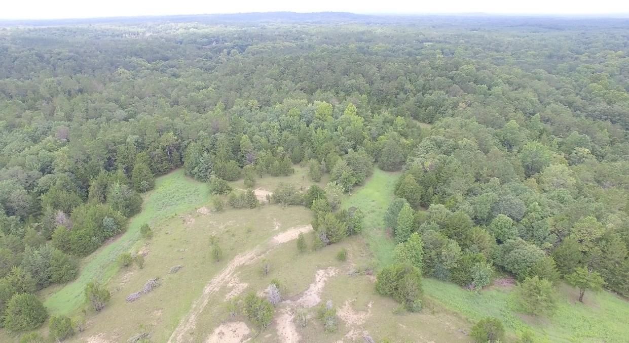 22100 Alabama 41, Minter, AL 36761 | LandWatch