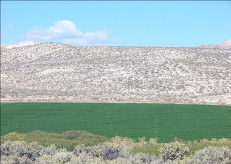 534 acres in Oreana, ID, 83650 | LandWatch