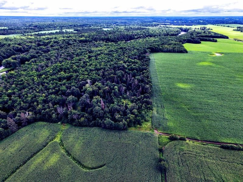 502 N Applebee Rd, Exeland, WI 54835 | MLS: 1544845 | LandWatch