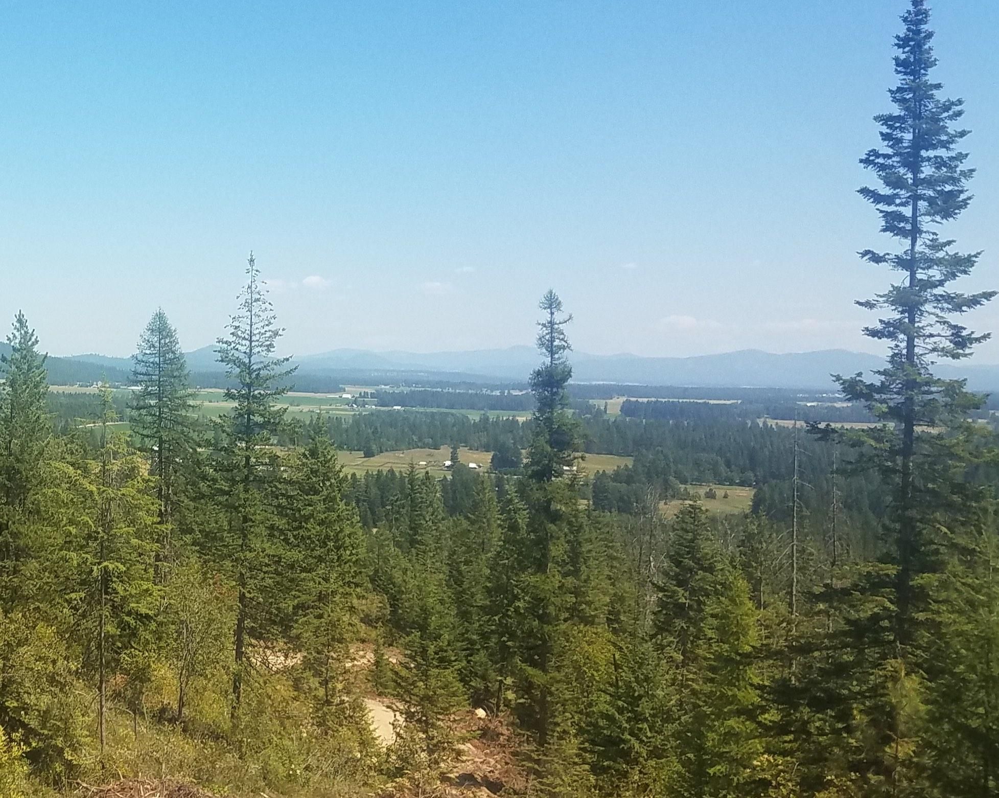 Clayton, Stevens County, WA Recreational Property, Timberland Property ...