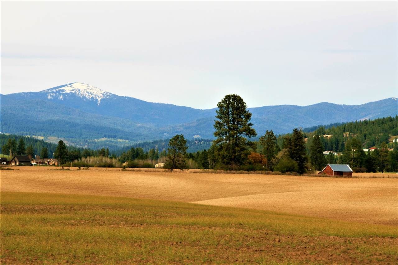 Mead, Spokane County, WA Undeveloped Land for sale Property ID ...