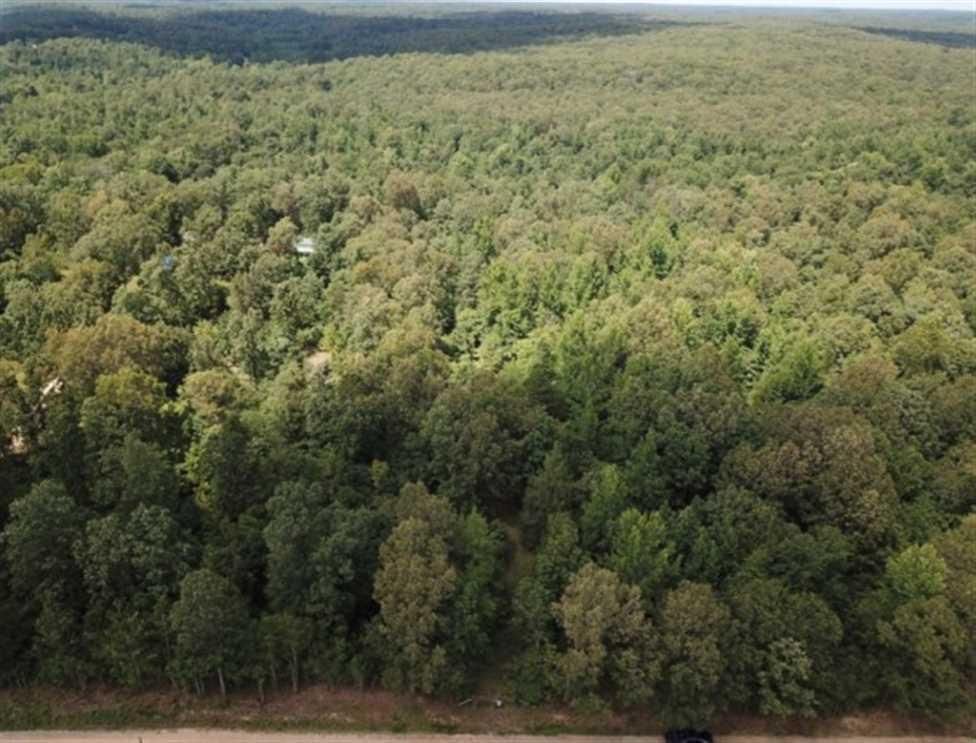 20 acres in Oxly, MO, 63955 | LandWatch