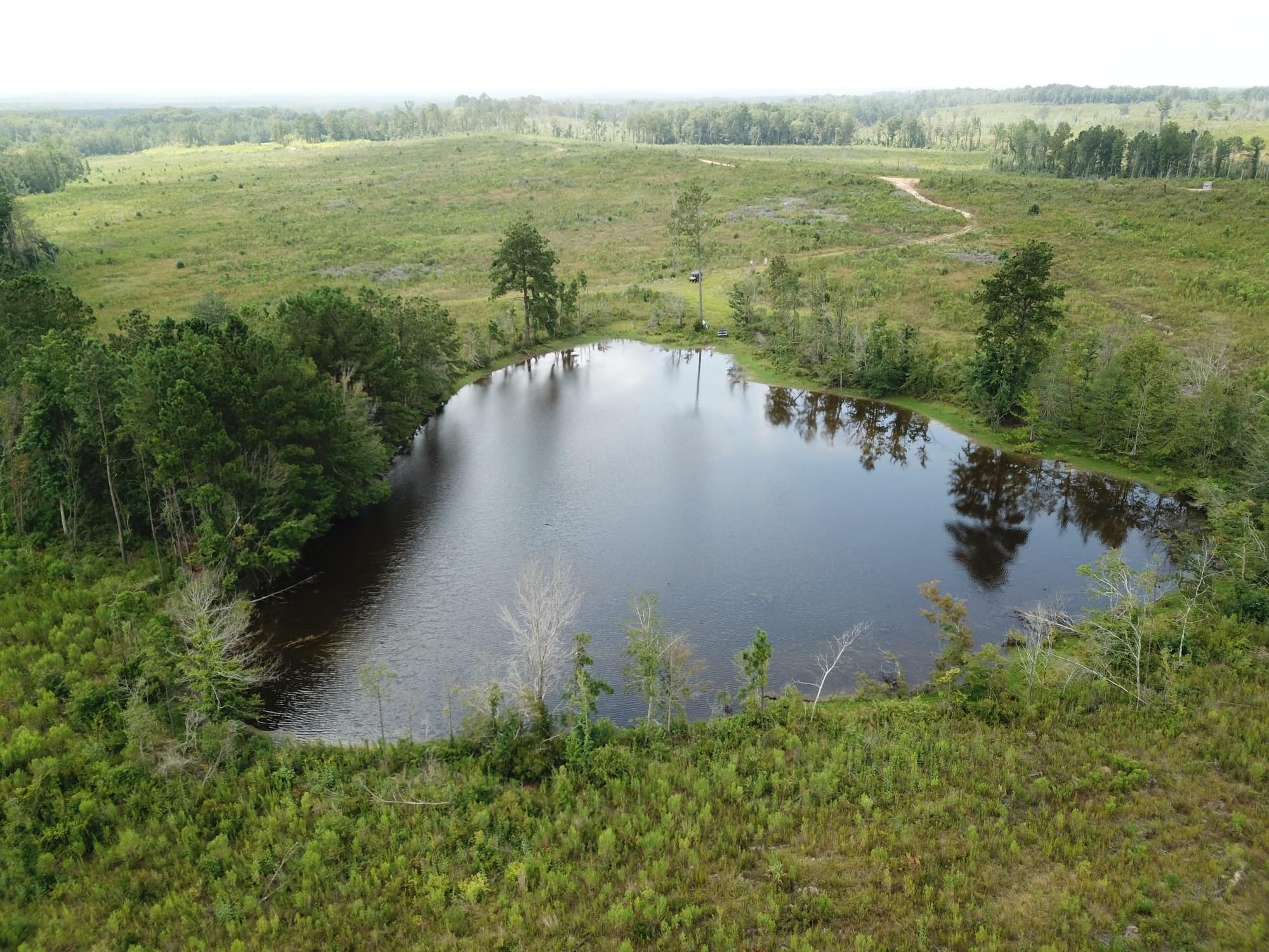 Gardner Road, Grady, AL 36036 | LandWatch