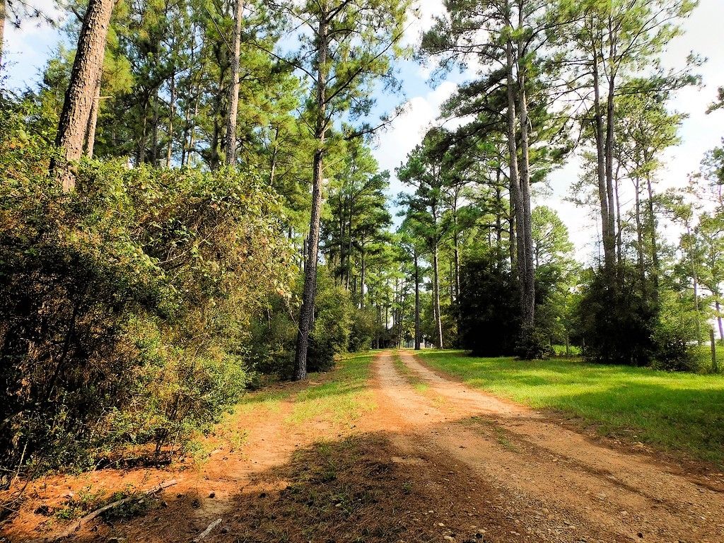 Bellville, Austin County, TX Farms and Ranches, House for sale Property ...