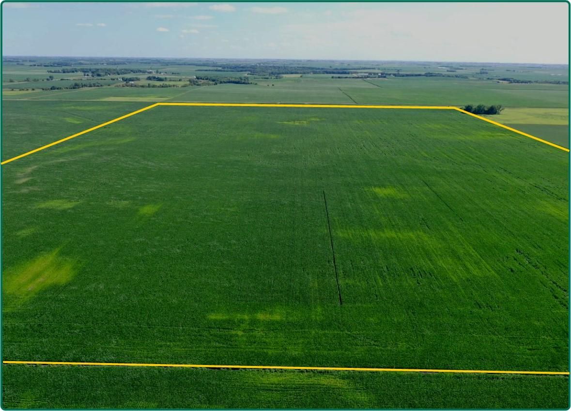 Rowan, Wright County, IA Farms and Ranches for sale Property ID ...