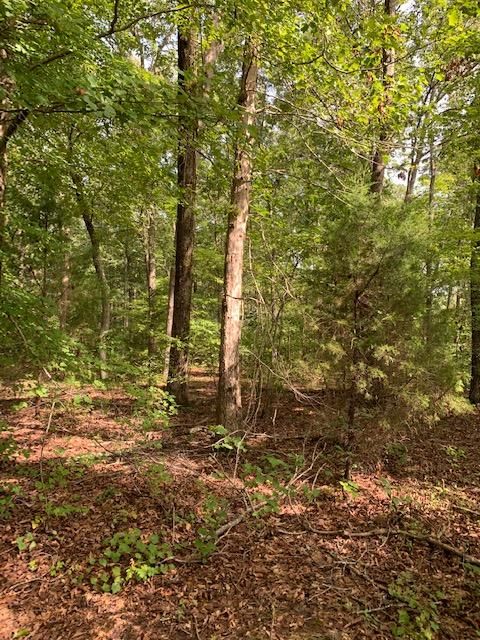 Golf Club Avenue, Saluda, SC 29138 | LandWatch