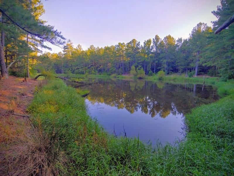 Crawfordville, Taliaferro County, GA Recreational Property, Timberland ...
