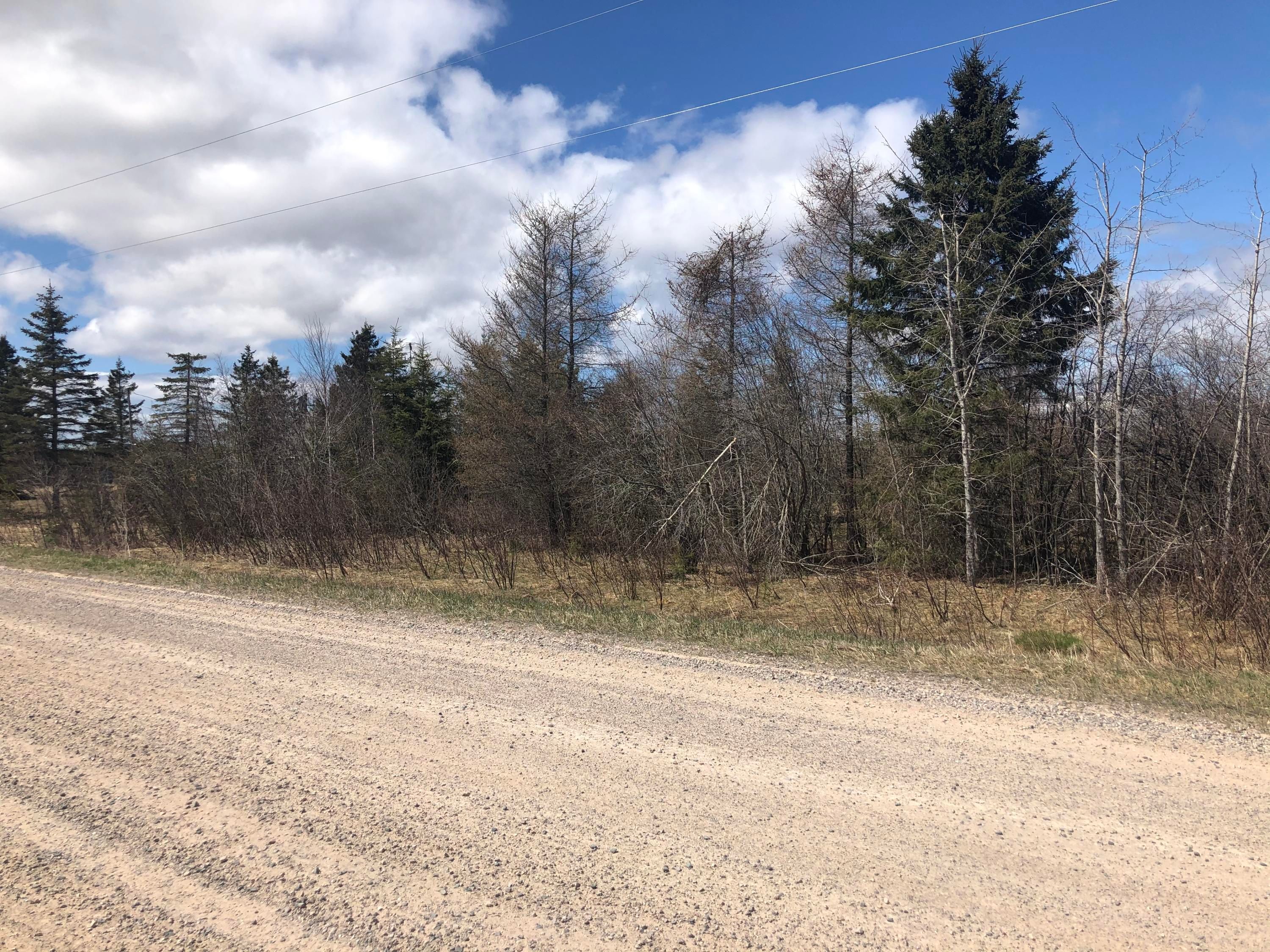 Dafter, Chippewa County, MI Undeveloped Land for sale Property ID ...