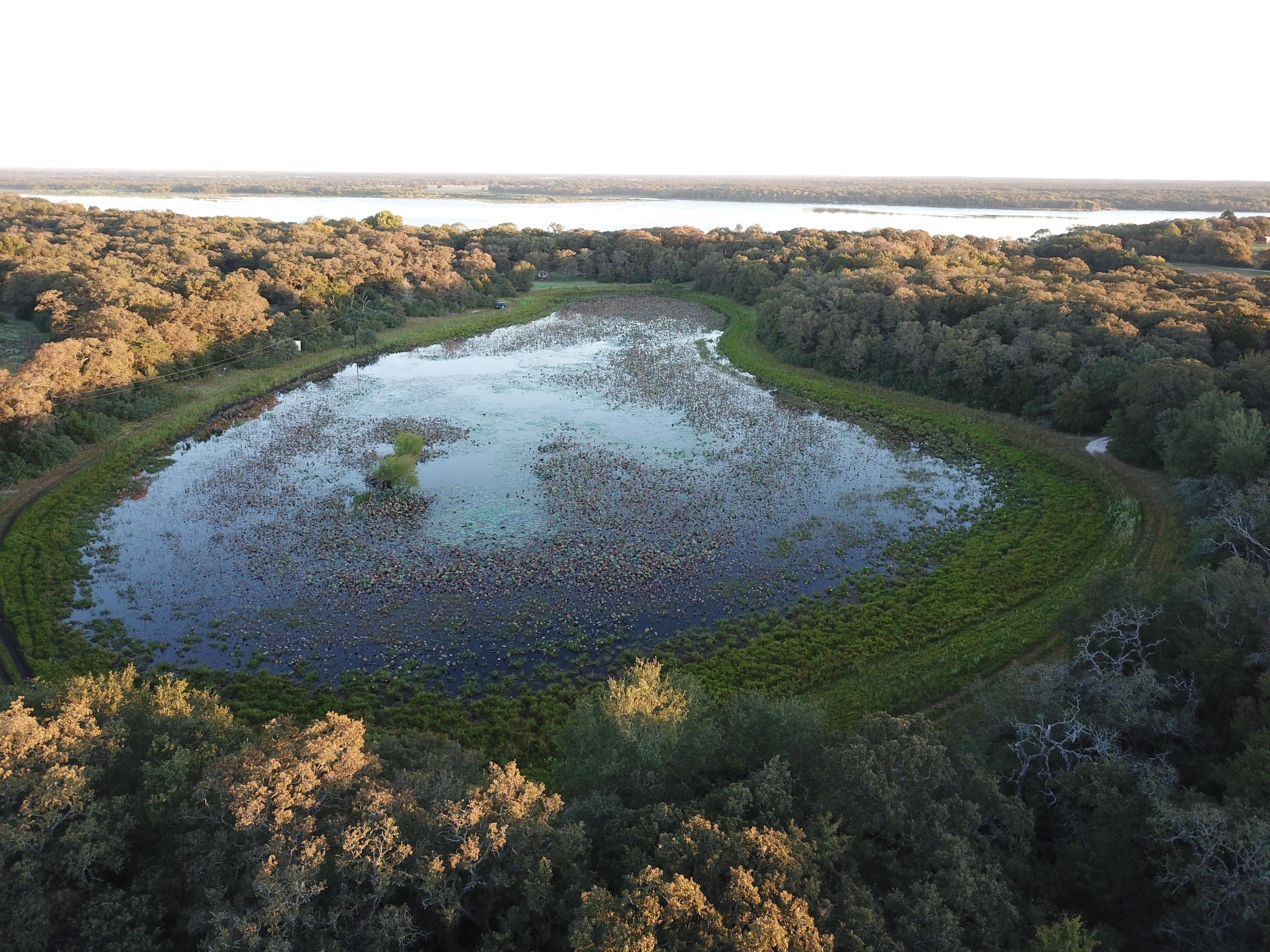 46 acres in Lake Limestone, TX, 76642 | LandWatch