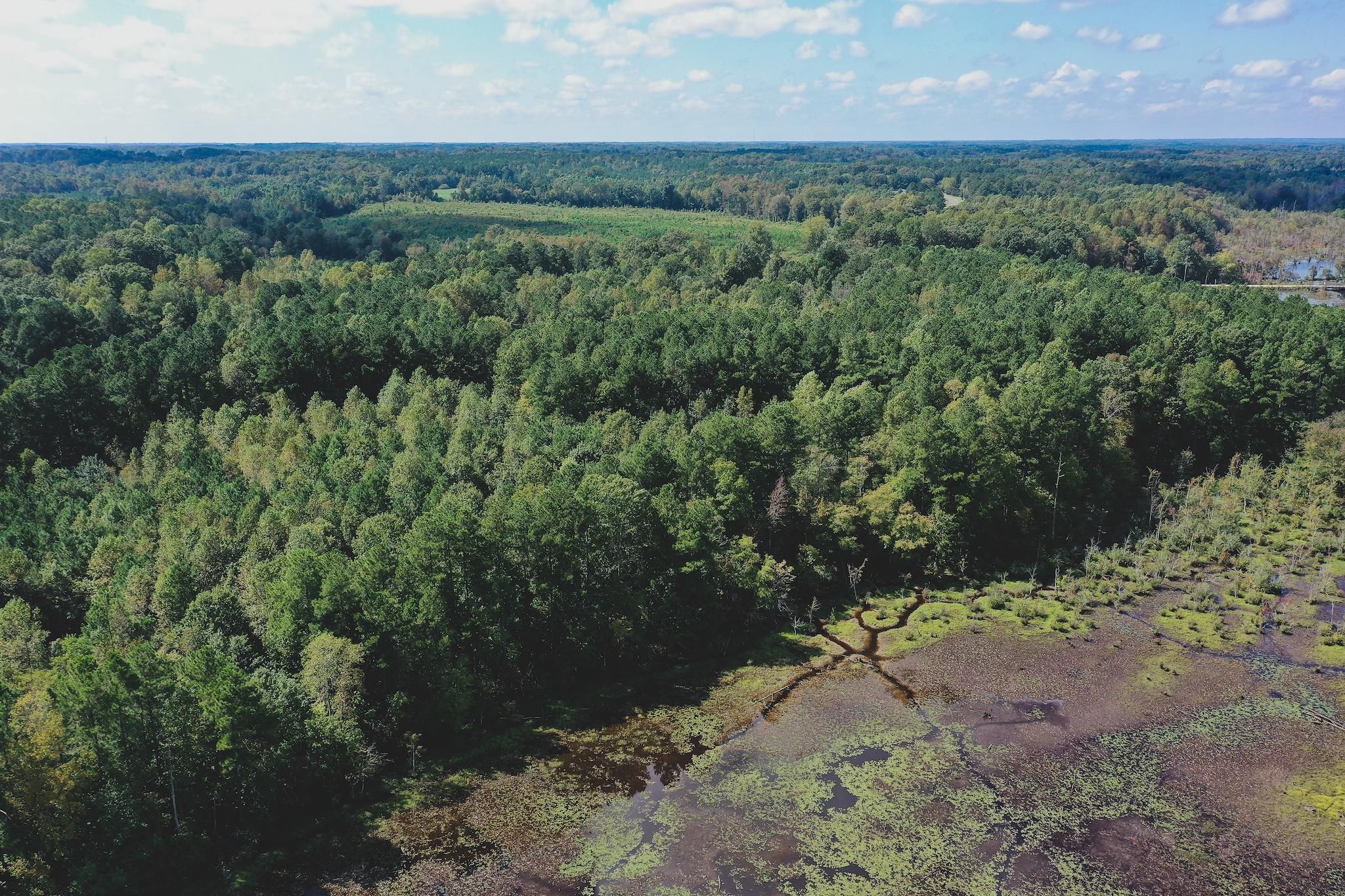 Spring Hope, Nash County, NC Recreational Property, Timberland Property ...