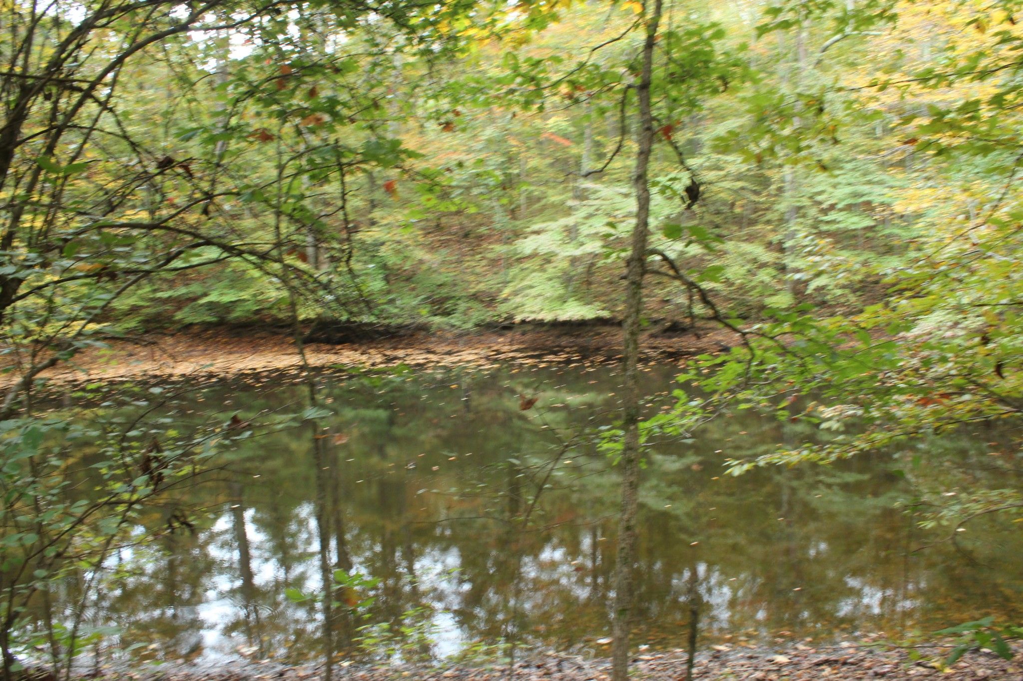 Lyles, Hickman County, TN Farms and Ranches for sale Property ID ...