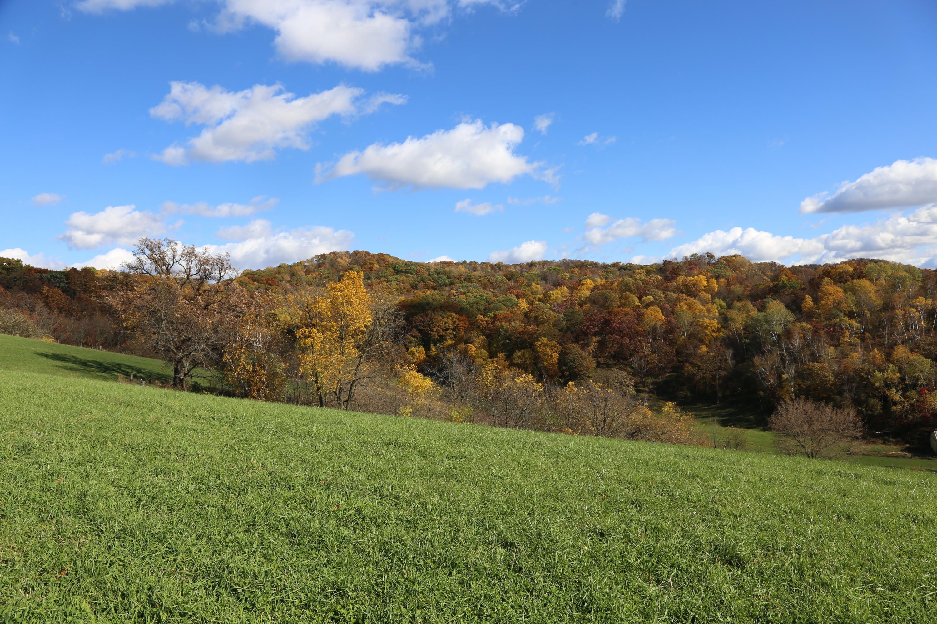 Sparta, Monroe County, WI Farms and Ranches for sale Property ID ...