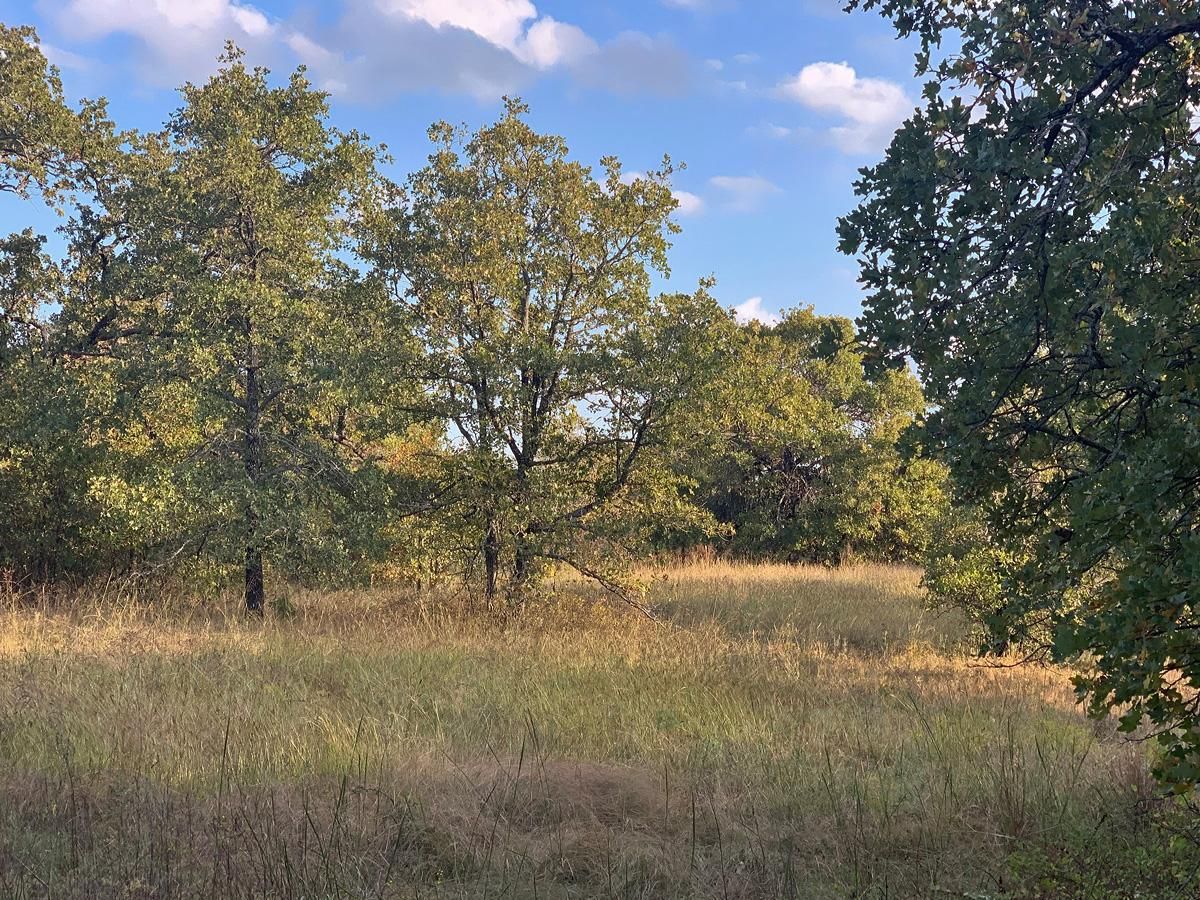 140 acres in Velma, OK, 73491 | LandWatch