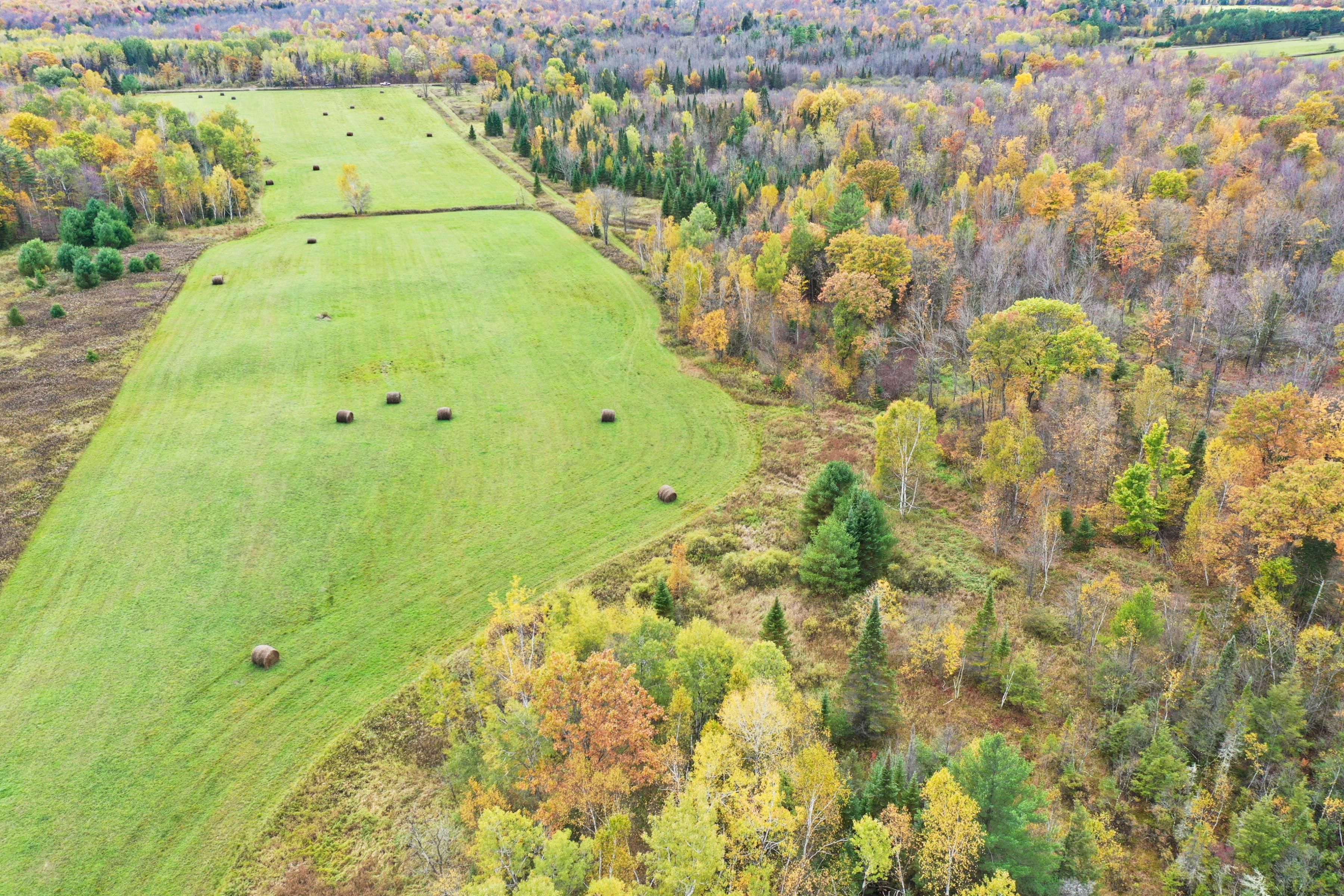 +/-105 Acres Konsella Road, Gilman, WI 54433 | MLS: 22003620 | LandWatch