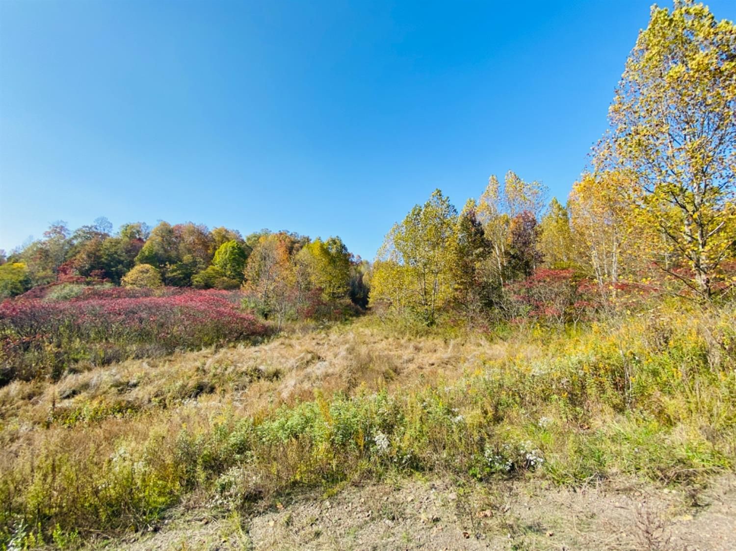 Manchester, Clay County, KY Farms and Ranches, Lakefront Property ...