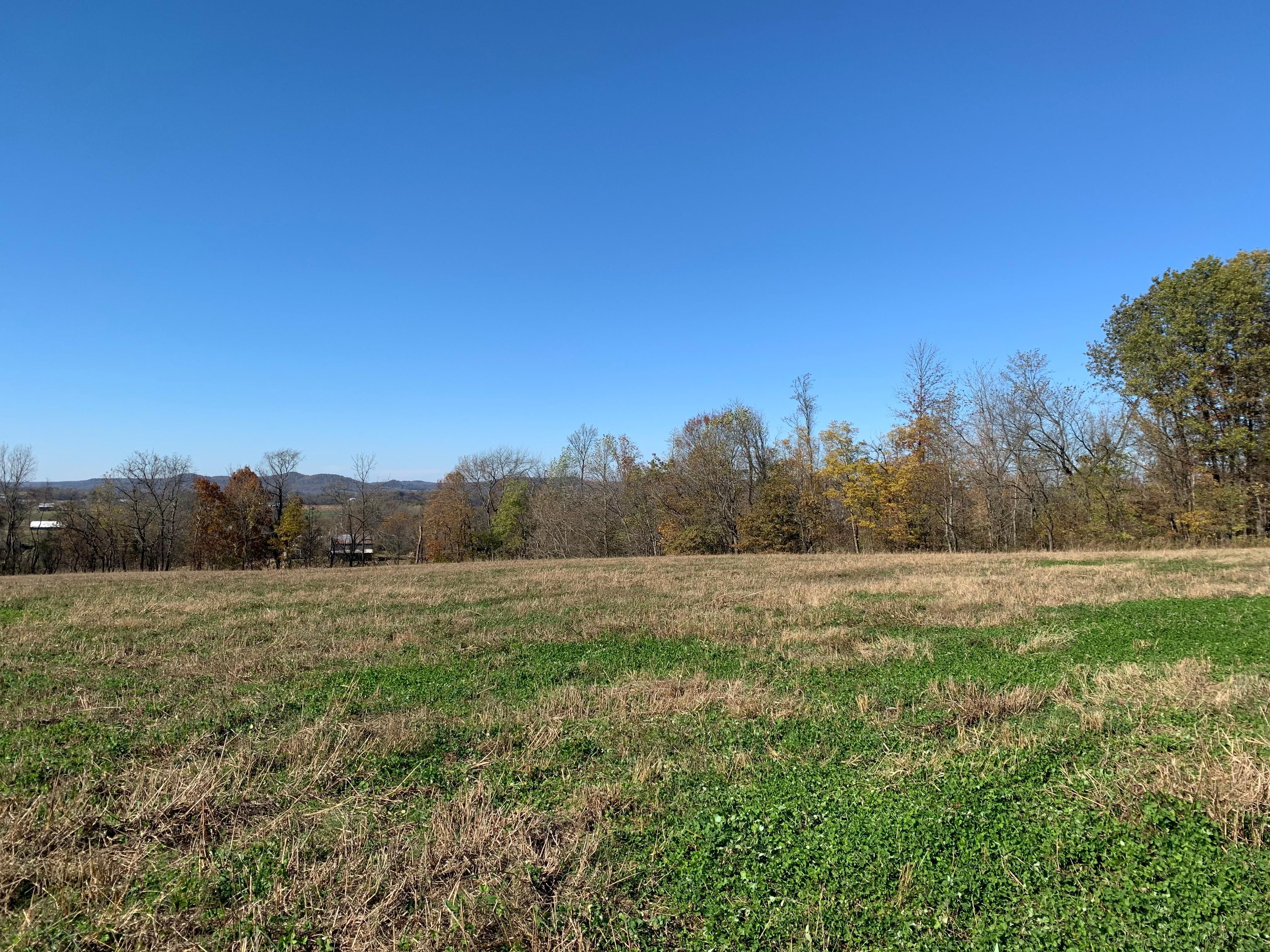 Defries Road, Canmer, KY 42722 | MLS: 41459 | LandWatch
