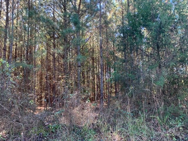 Hi-Land Farm Trail, Ridge Spring, SC 29129 | LandWatch