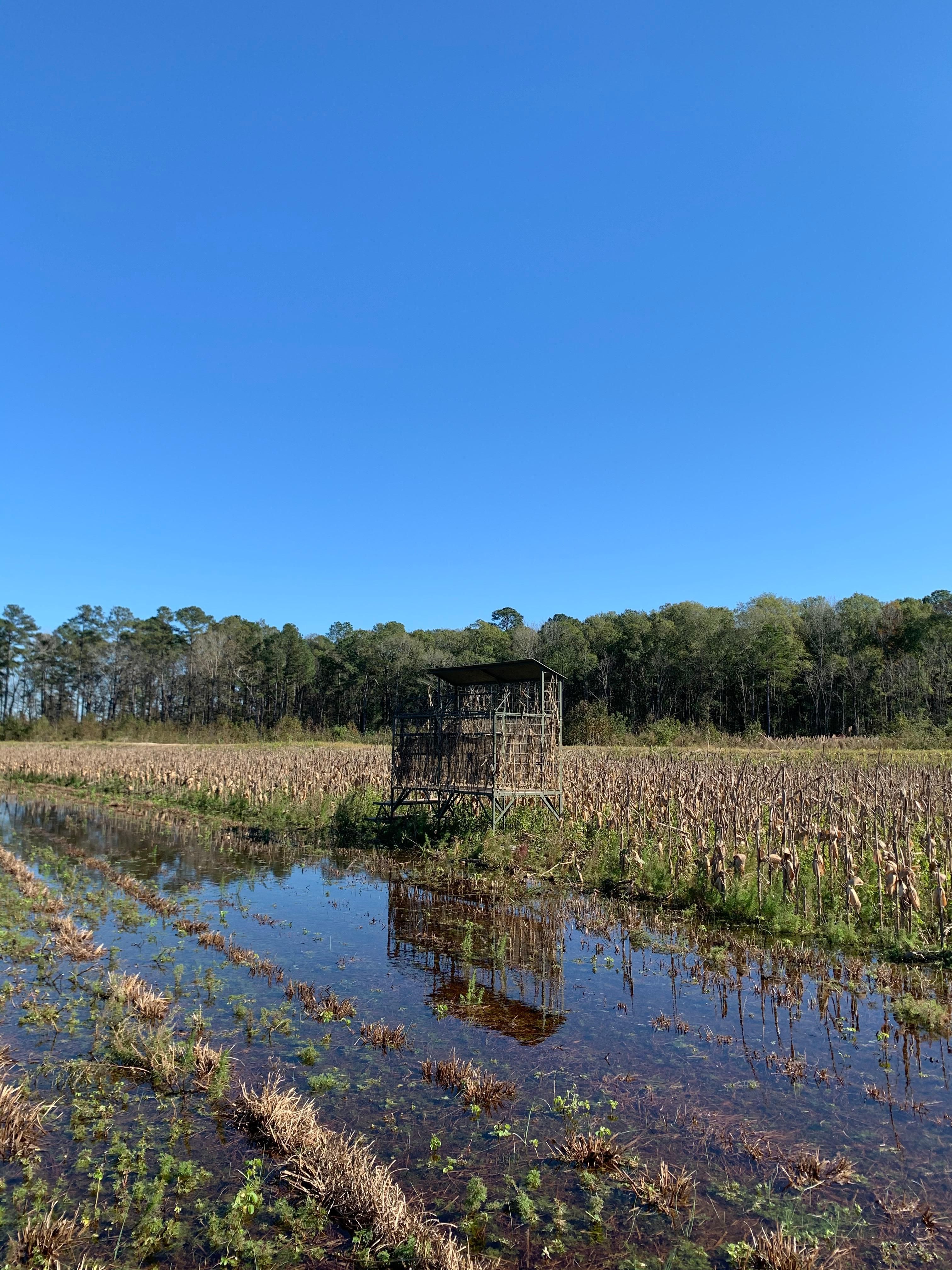 Lynchburg, Lee County, SC Farms and Ranches, Recreational Property ...