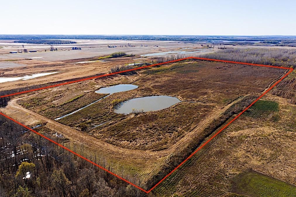 Miller City Road, Miller City, IL 62962 | MLS: 20487 | LandWatch