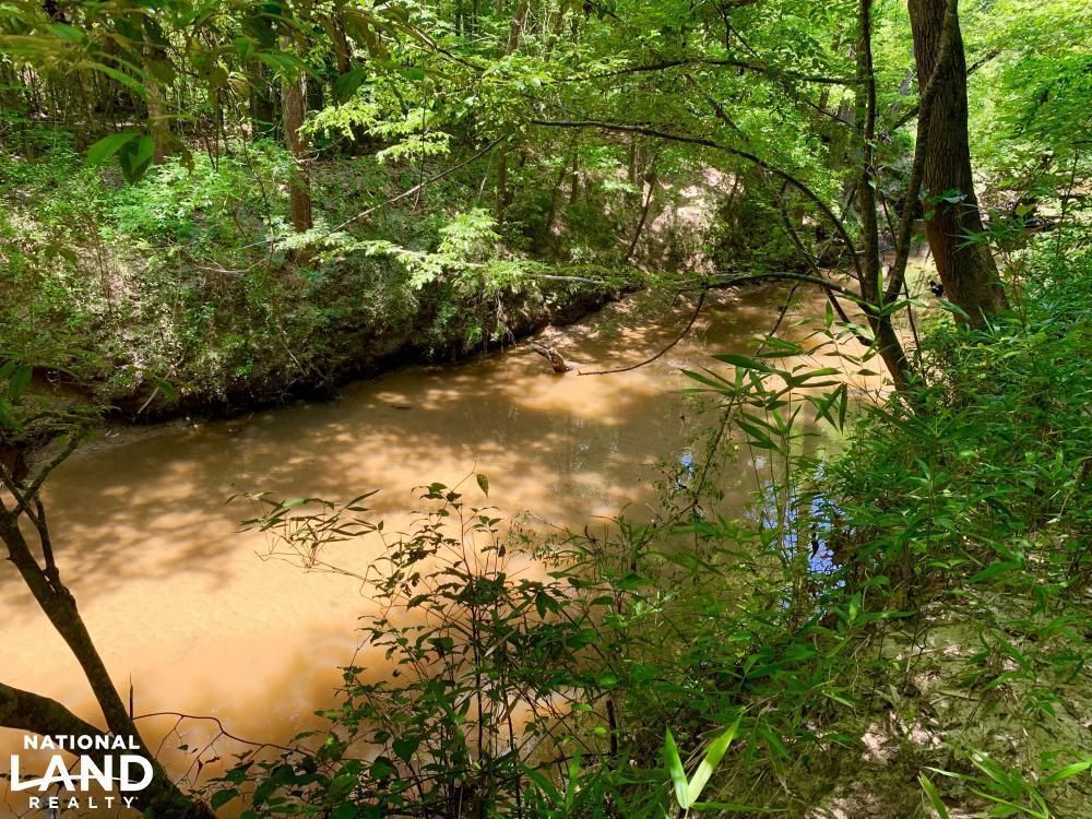 0 Highway 10, Lisman, AL 36921 | LandWatch