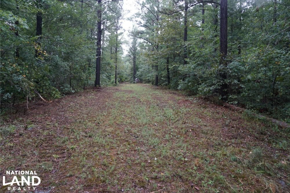 0 Romulus Road, Buhl, AL 35446 | LandWatch