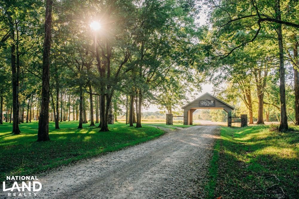 0 Concordia Drive, Gunnison, MS 38746 | LandWatch
