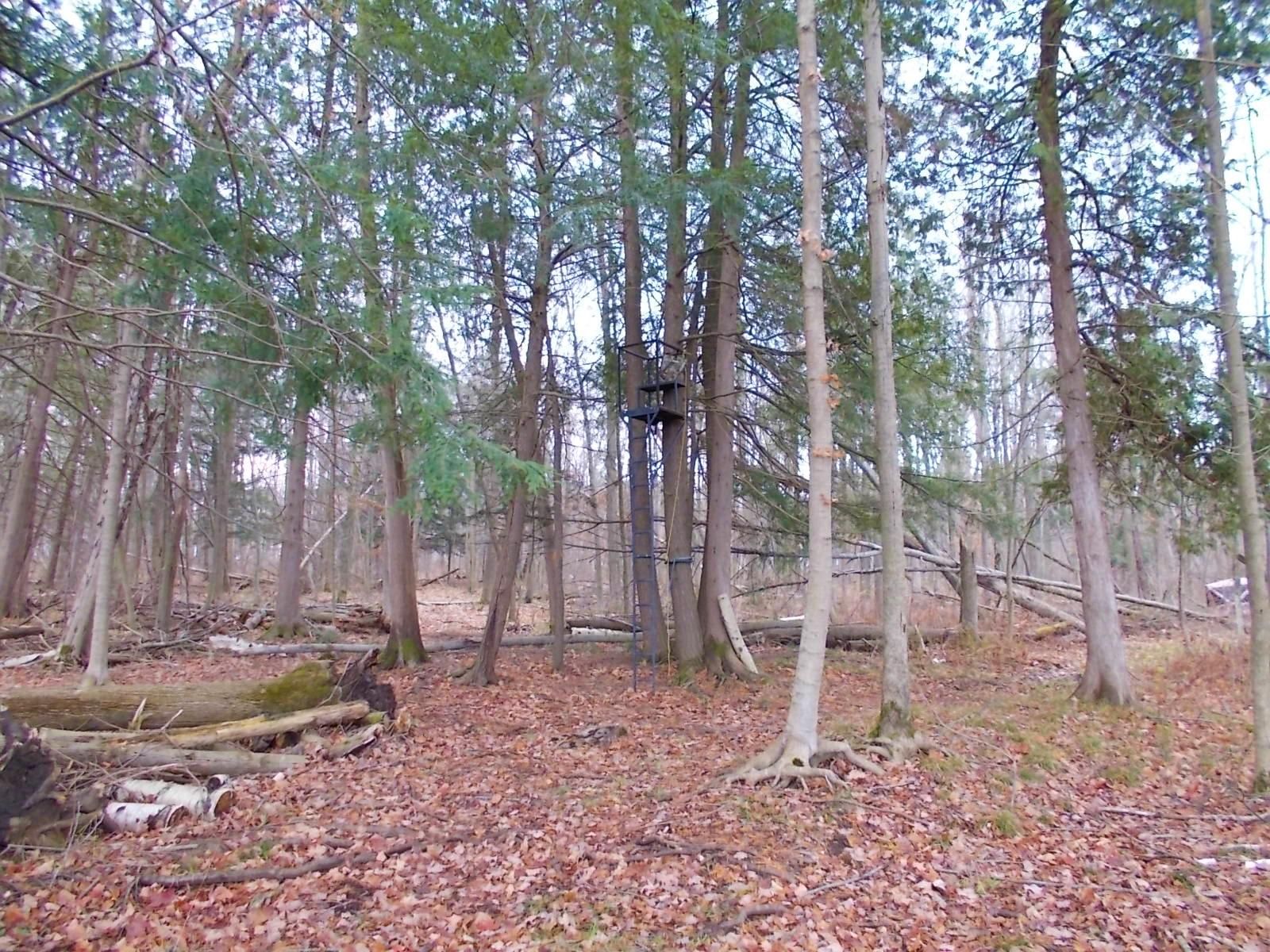 0000 Mertz Rd, Caro, MI 48723 | MLS: 649-20-0023 | LandWatch