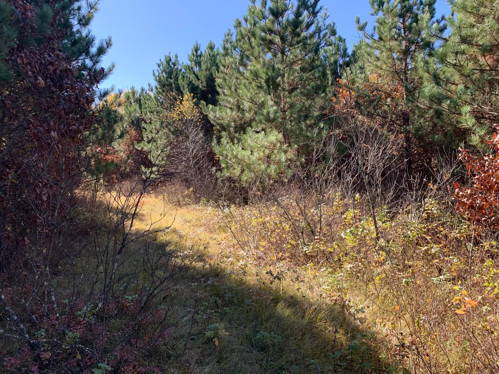 Cushing, Polk County, WI Recreational Property, Hunting Property ...