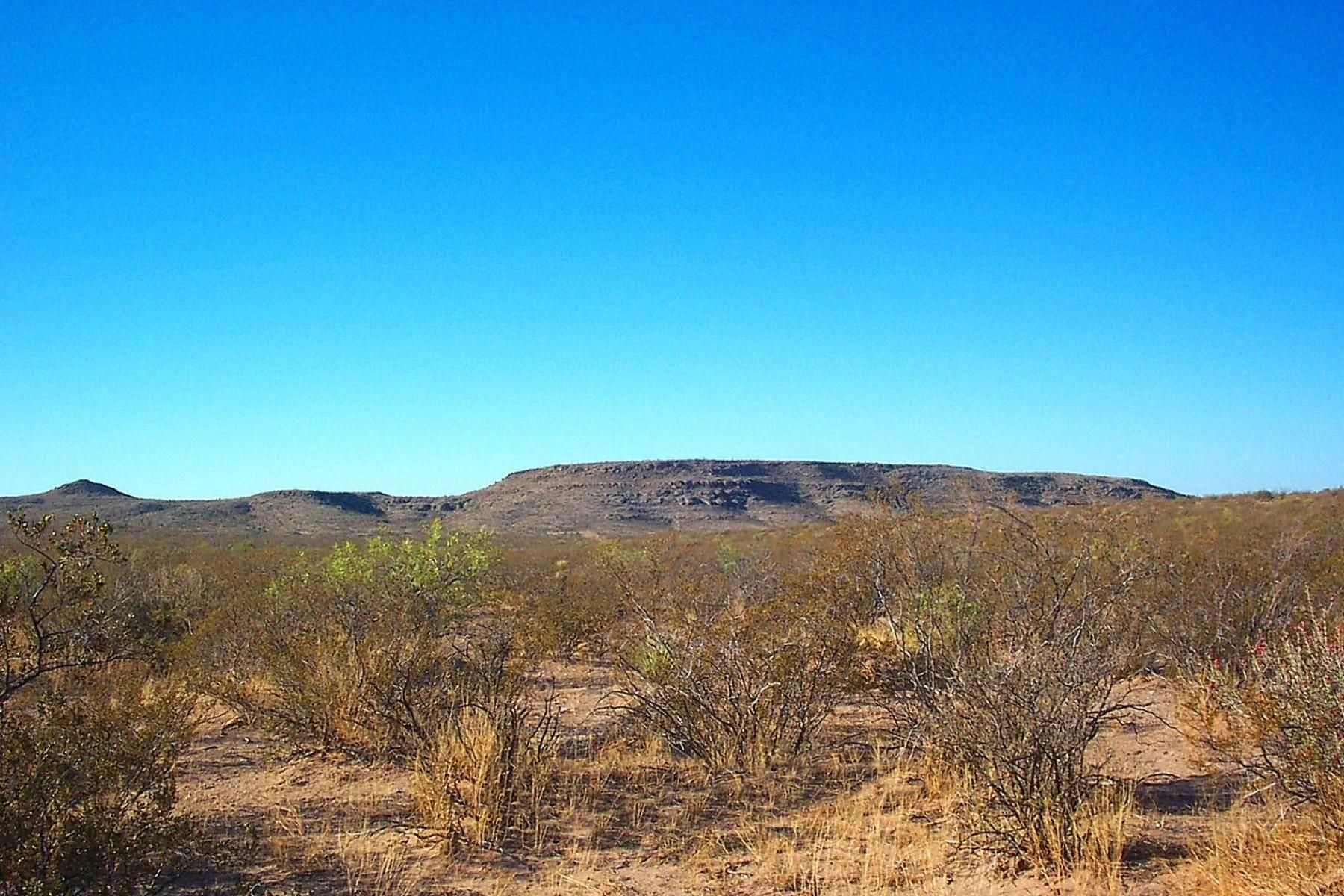 Wilkey Road, Fort Hancock, TX 79839 | LandWatch