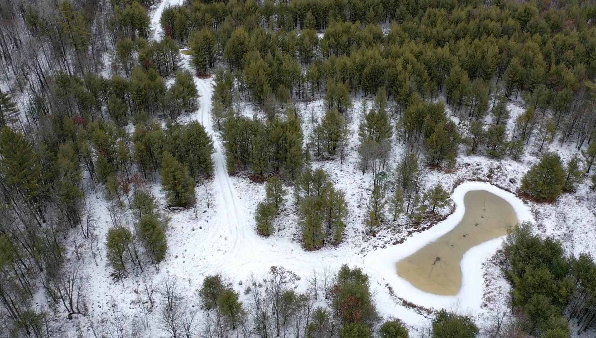 Michalik Ln., Babcock, WI 54413 | MLS: 1900723 | LandWatch