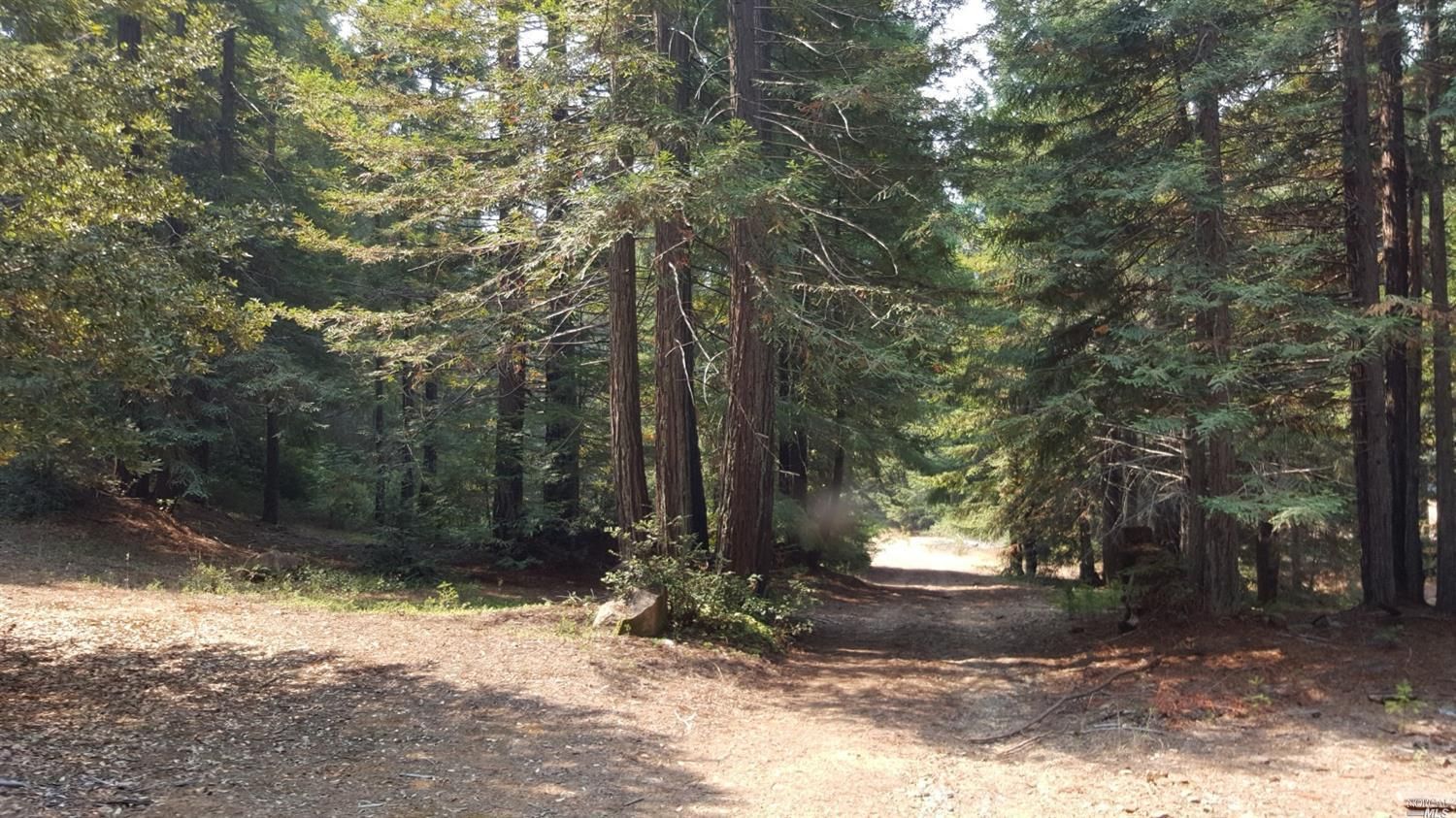 10670 Branscomb Road, Branscomb, CA 95417 | LandWatch