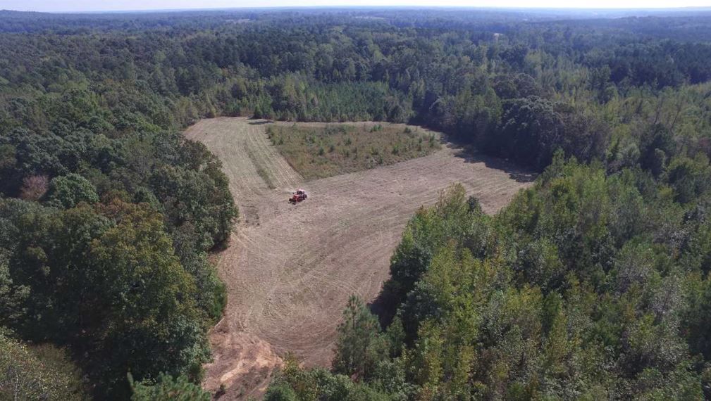 Hornsby, Hardeman County, TN Undeveloped Land for sale Property ID: 409313815 | LandWatch