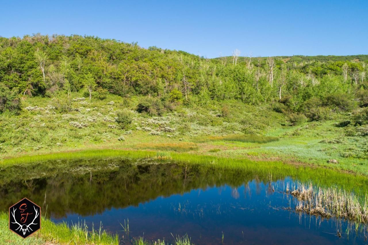 TBD Hwy 330 E, Collbran, CO 81624 | LandWatch