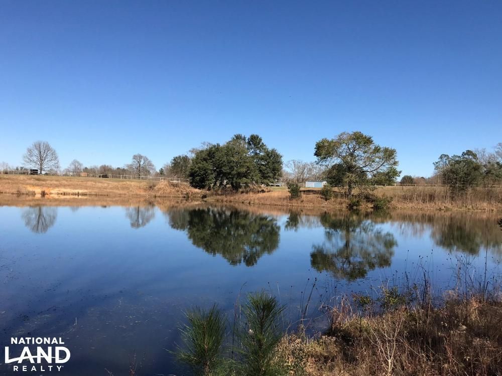 Perkinston, Stone County, MS Recreational Property, Timberland Property ...