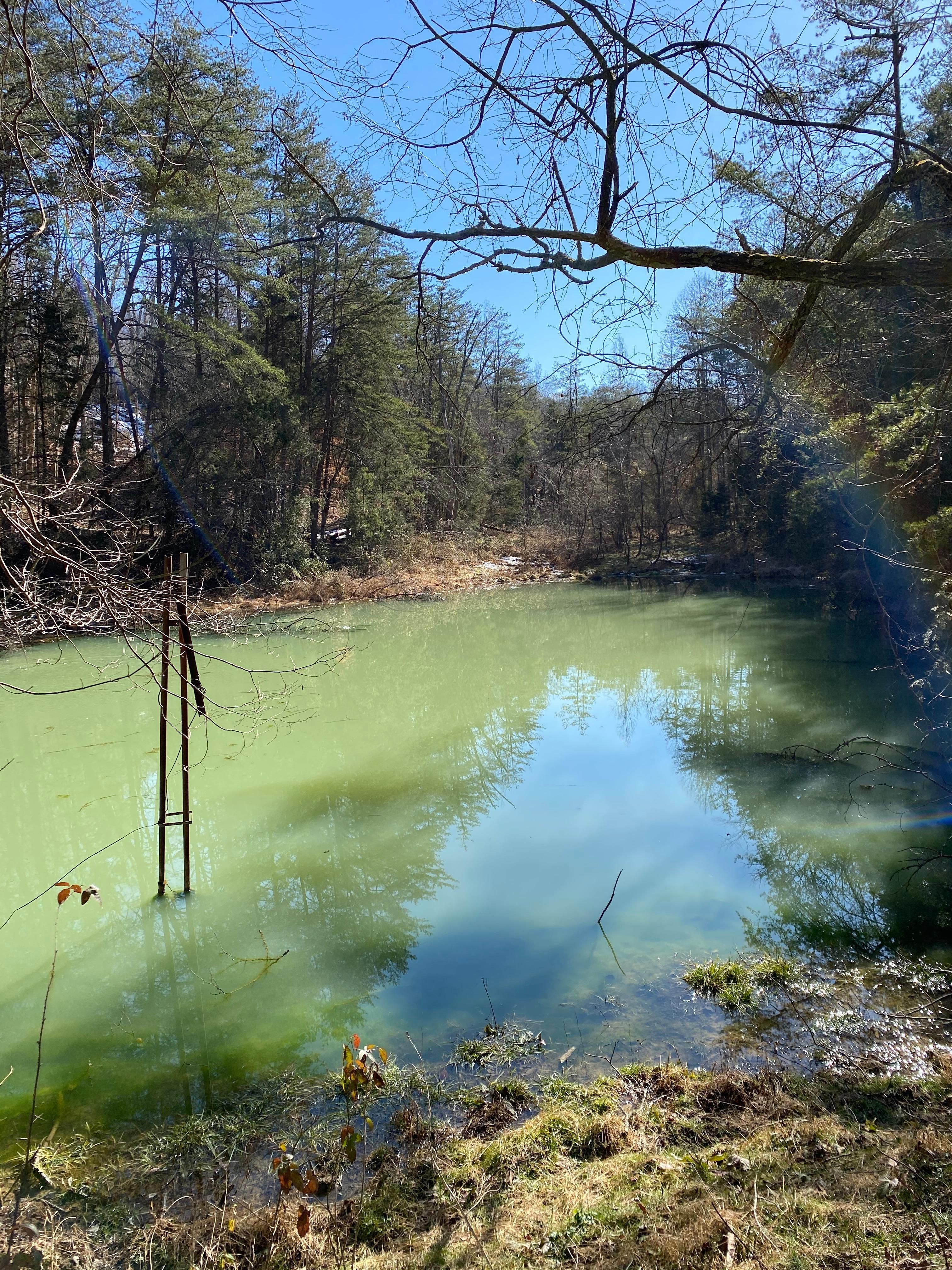 875 Dale Rd, Powder Springs, TN 37848 | MLS: 1143923 | LandWatch