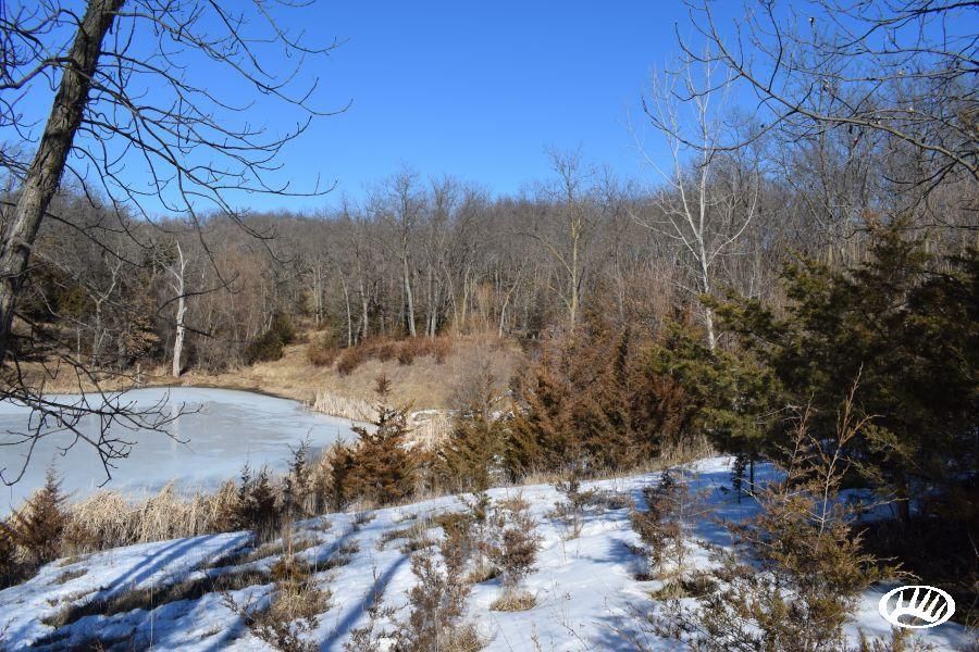 Thayer, Union County, IA Recreational Property, Timberland Property ...