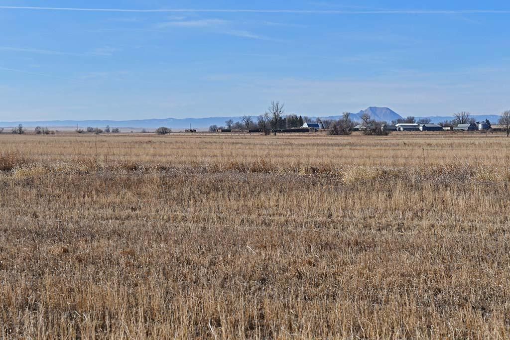 279 acres in Vale, SD, 57788 | MLS: Lundgren Farmland | LandWatch