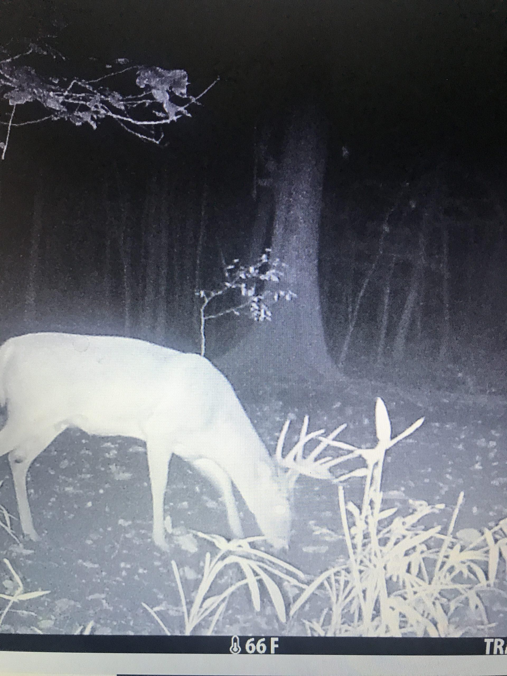 483 acres in Lizella, GA, 31008 | LandWatch