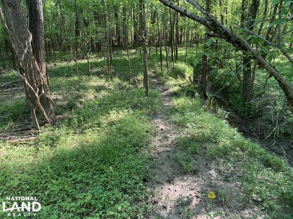 Buchanan Rd, Wren, MS 39370 | LandWatch