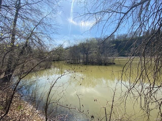 Foley, Lincoln County, MO Farms and Ranches for sale Property ID ...