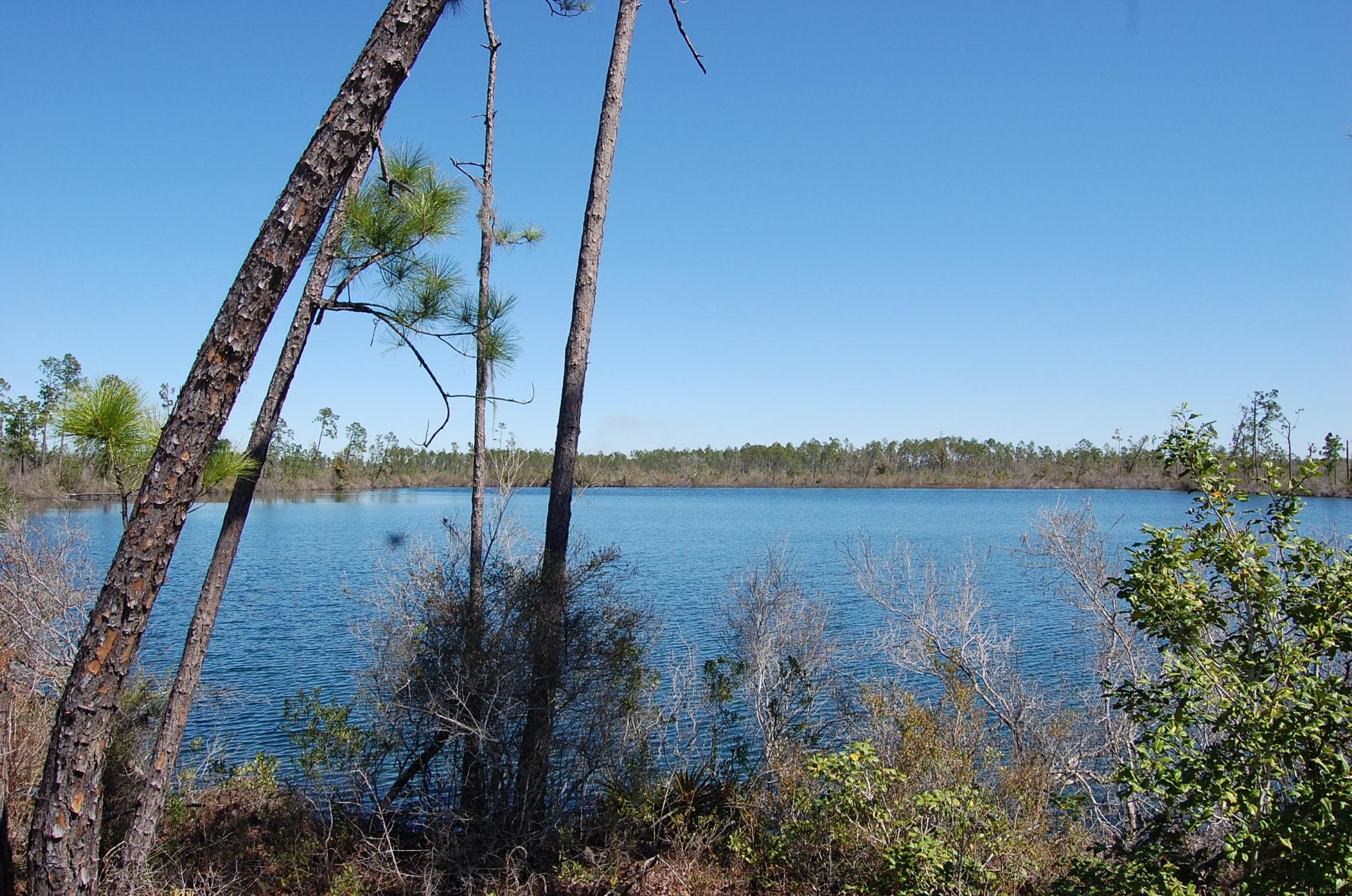 Callaway, Bay County, FL Recreational Property, Undeveloped Land ...