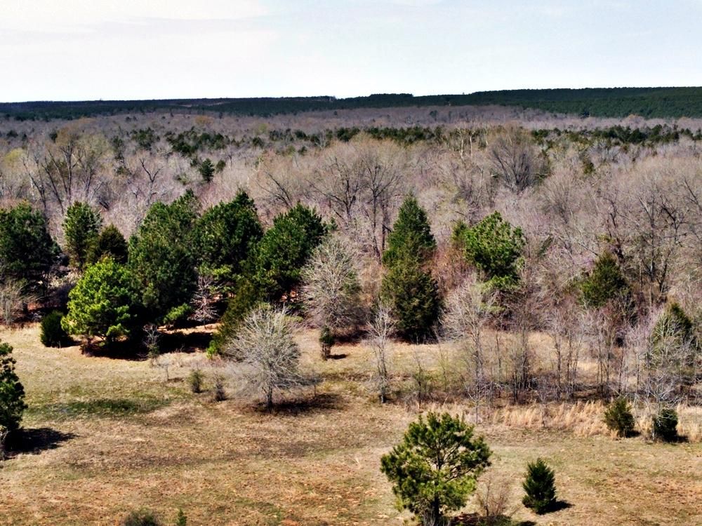 Rattan, Pushmataha County, OK Recreational Property, Hunting Property ...